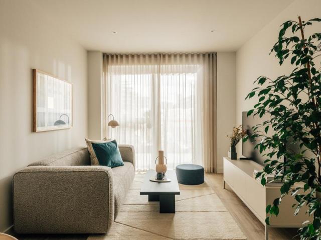 1 bedroom apartment to rent