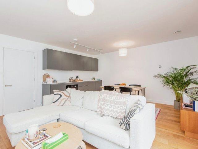 1 bedroom apartment to rent