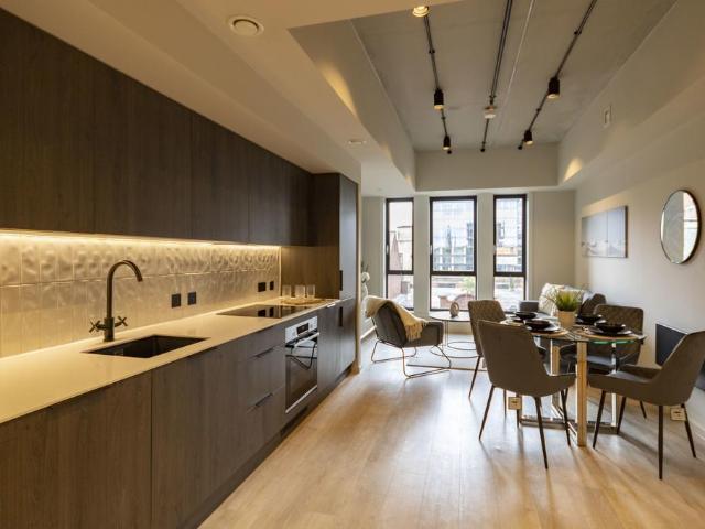 1 bedroom apartment to rent