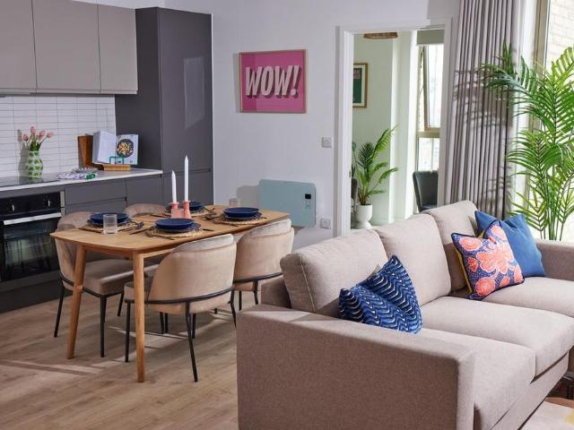 1 bedroom apartment to rent