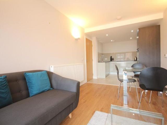 1 bedroom apartment to rent