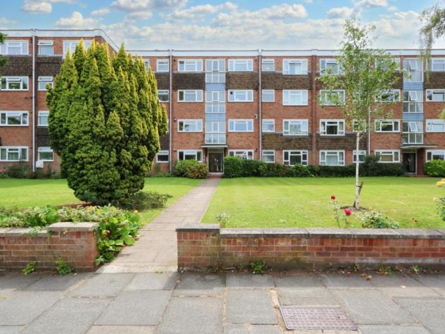 1 bedroom apartment to rent