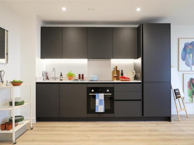 1 bedroom apartment to rent