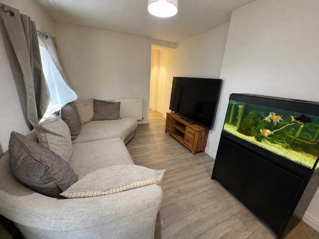 1 bedroom apartment to rent