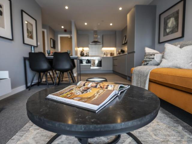 1 bedroom apartment to rent