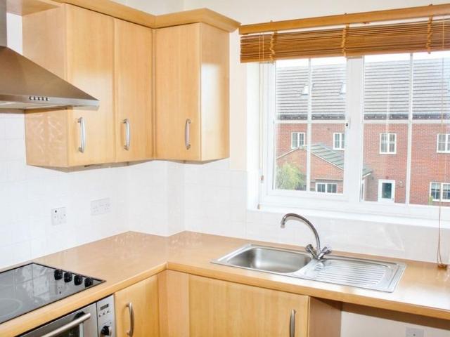 1 bedroom apartment to rent