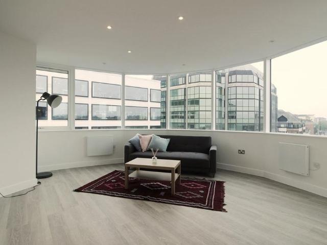 1 bedroom apartment to rent