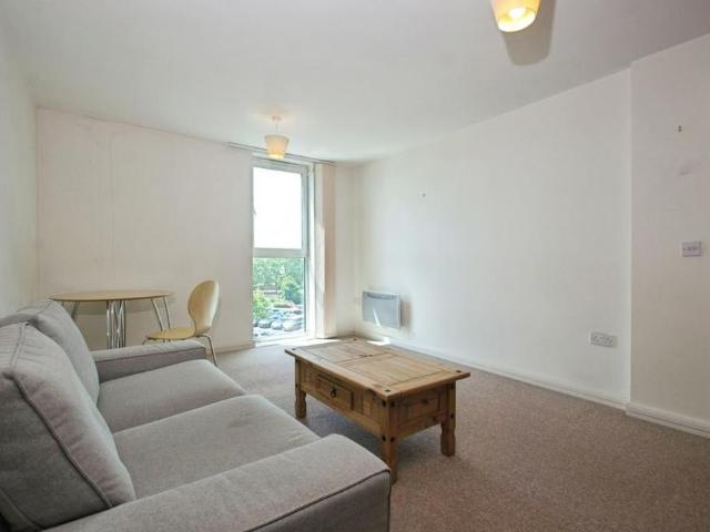1 bedroom apartment to rent