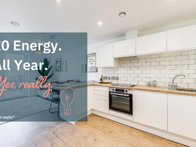 1 bedroom apartment to rent
