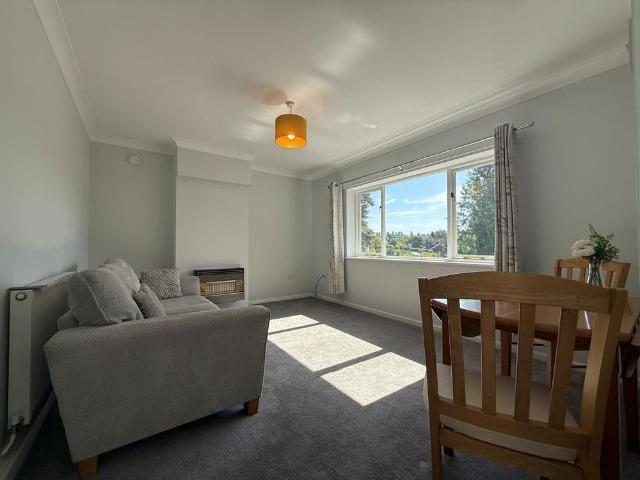 1 bedroom apartment to rent