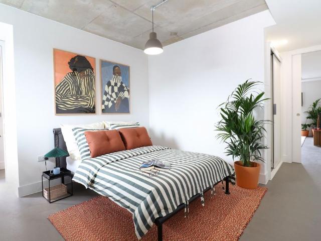 1 bedroom apartment to rent