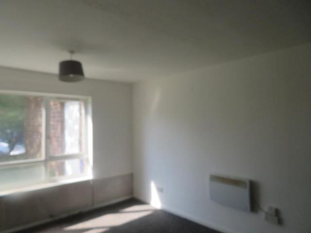 1 bedroom apartment to rent