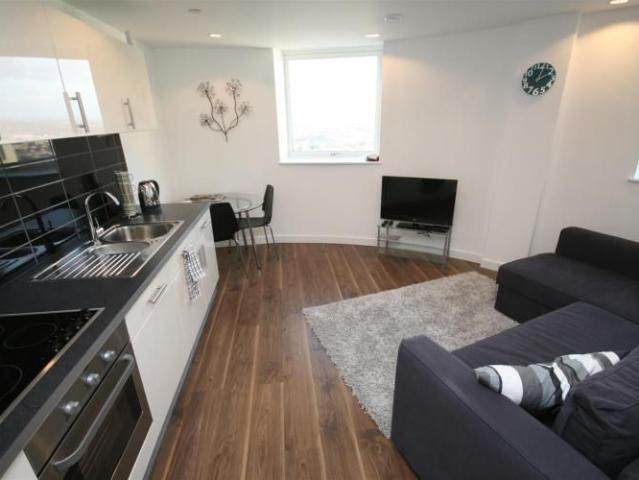 1 bedroom apartment to rent
