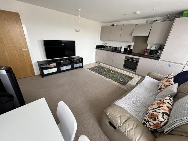 1 bedroom apartment to rent