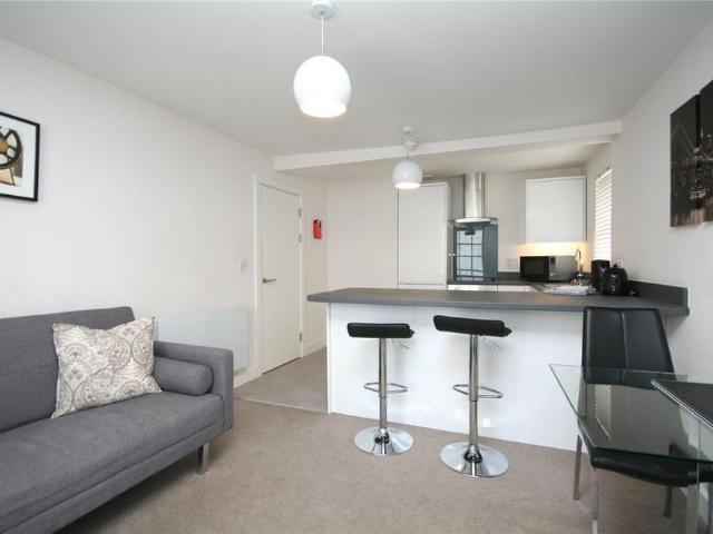 1 bedroom apartment to rent