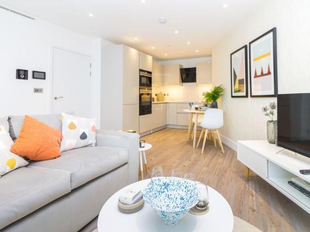 1 bedroom apartment to rent