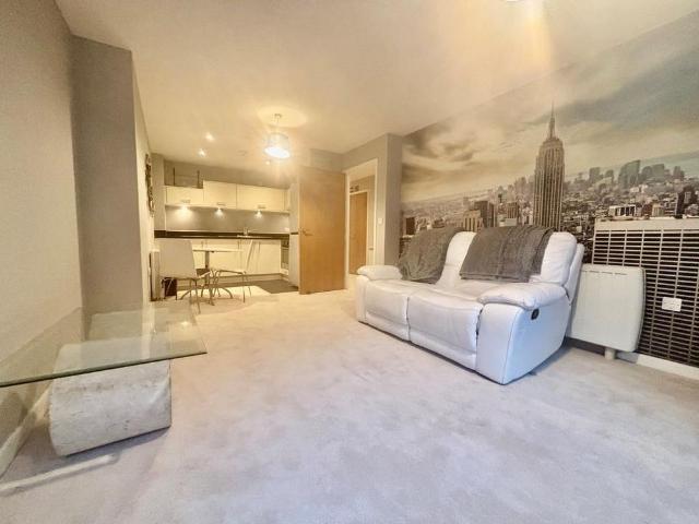 1 bedroom apartment to rent