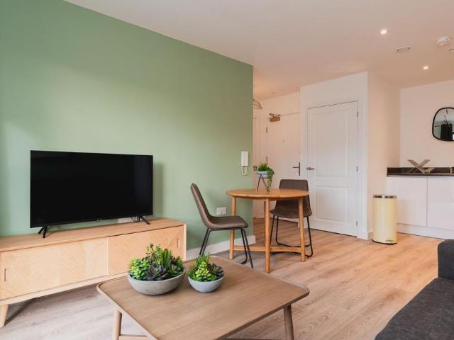1 bedroom apartment to rent