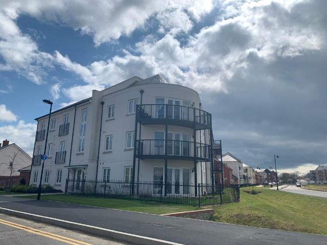 1 bedroom apartment to rent