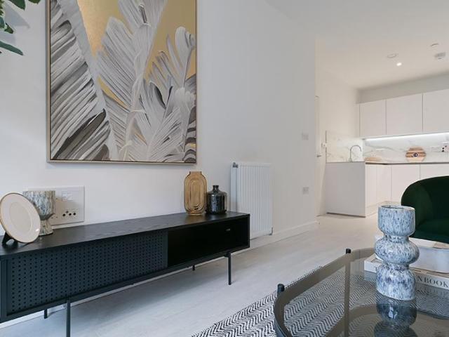 1 bedroom apartment to rent