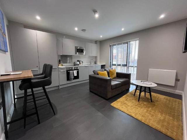 1 bedroom apartment to rent