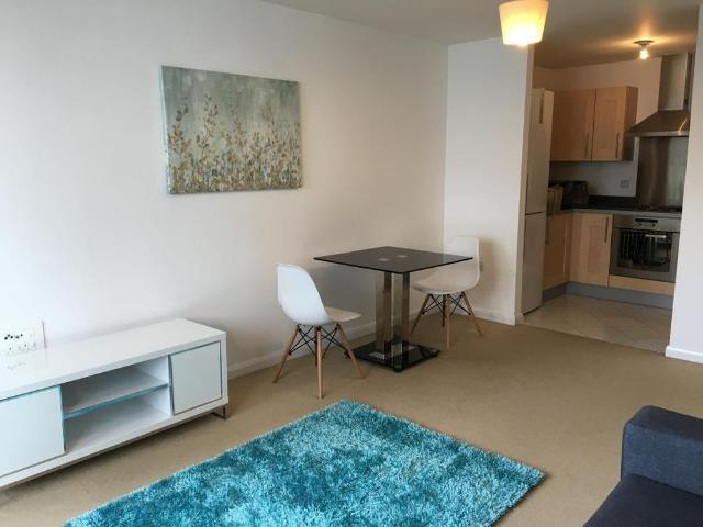 1 bedroom apartment to rent