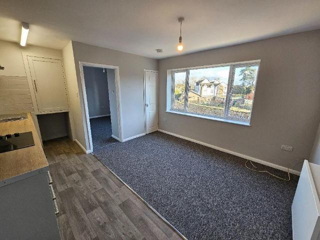 1 bedroom apartment to rent