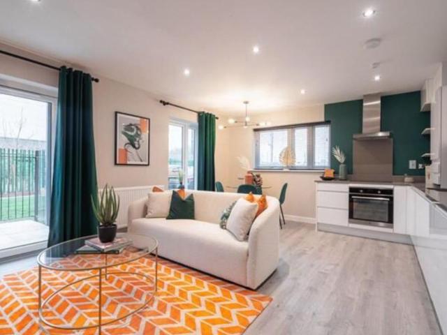 1 bedroom apartment to rent