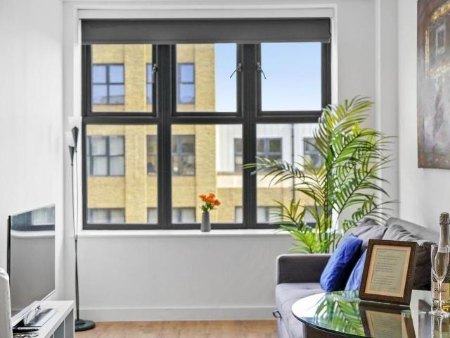 1 bedroom apartment to rent