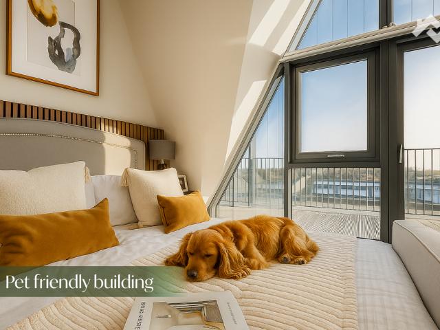 1 bedroom apartment to rent