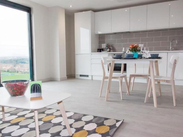 1 bedroom apartment to rent