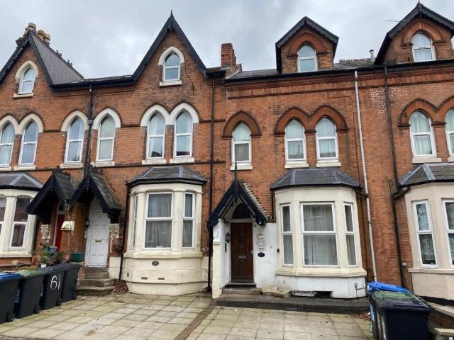 1 bedroom apartment to rent