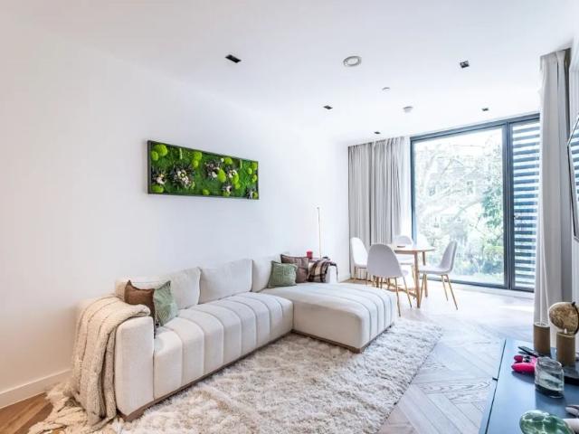 1 bedroom apartment to rent