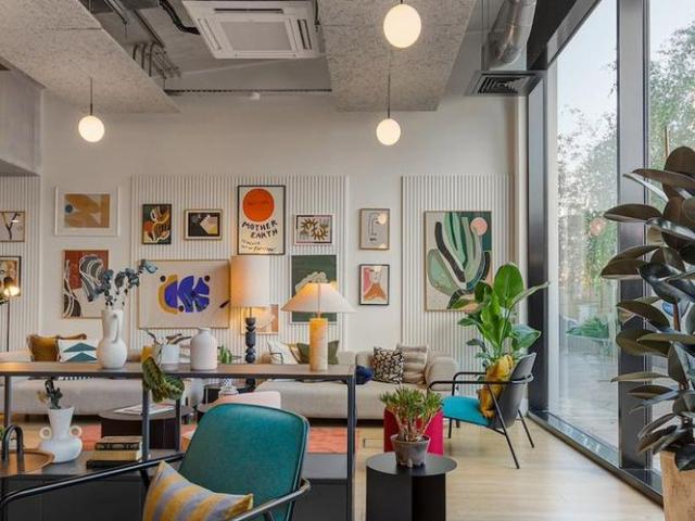 1 bedroom apartment to rent