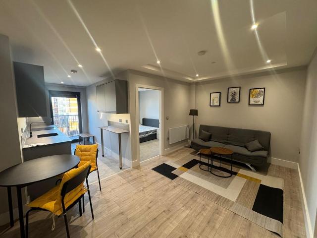1 bedroom apartment to rent