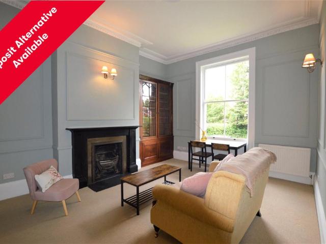 1 bedroom apartment to rent