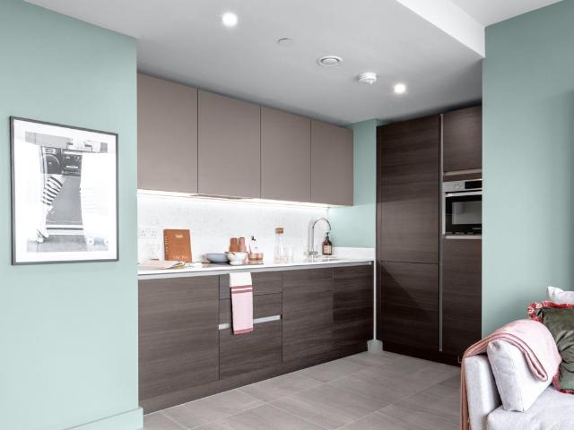 1 bedroom apartment to rent