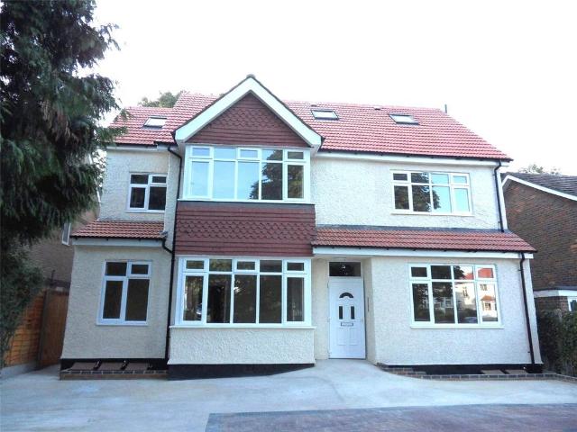 1 bedroom apartment to rent