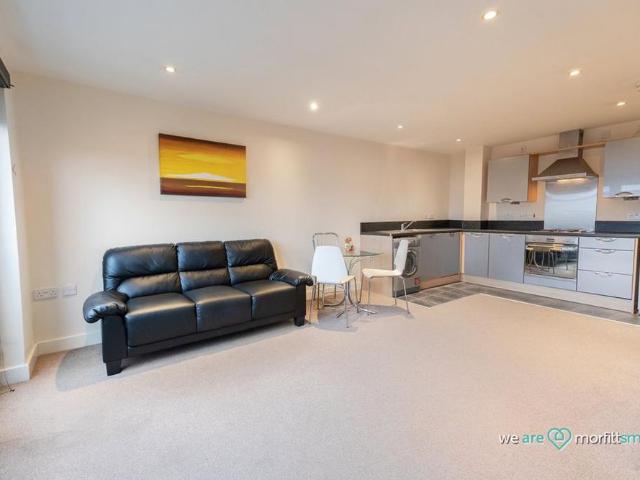 1 bedroom apartment to rent