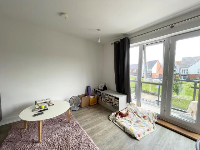 1 bedroom apartment to rent