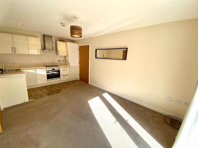 1 bedroom apartment to rent