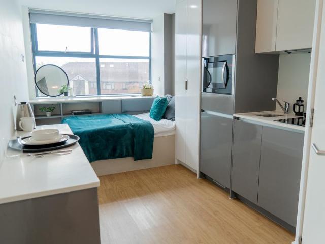 1 bedroom apartment to rent