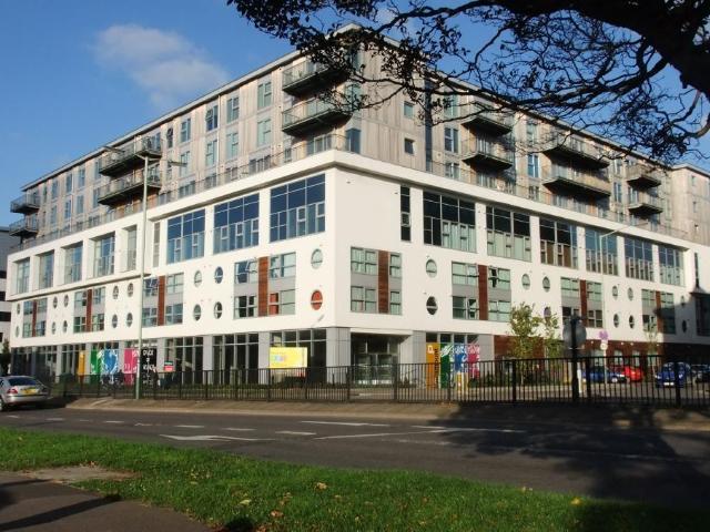 1 bedroom apartment to rent
