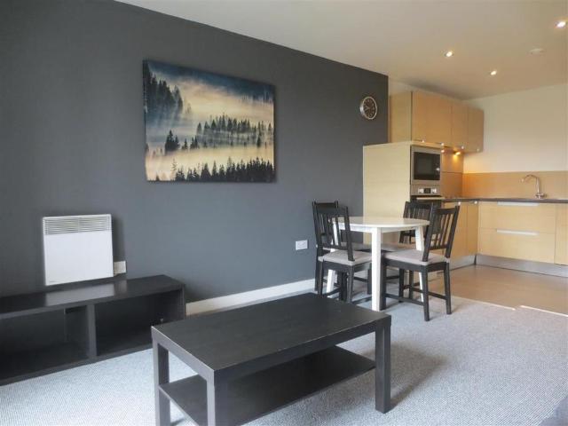 1 bedroom apartment to rent