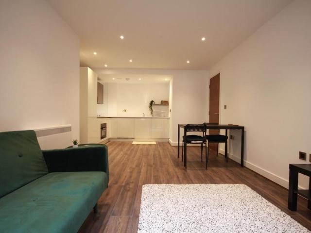 1 bedroom apartment to rent