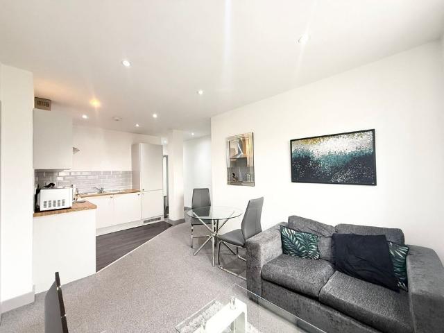 1 bedroom apartment to rent