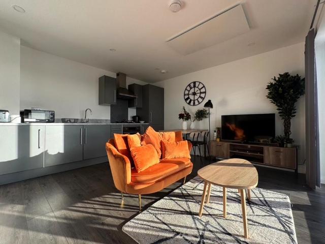 1 bedroom apartment to rent