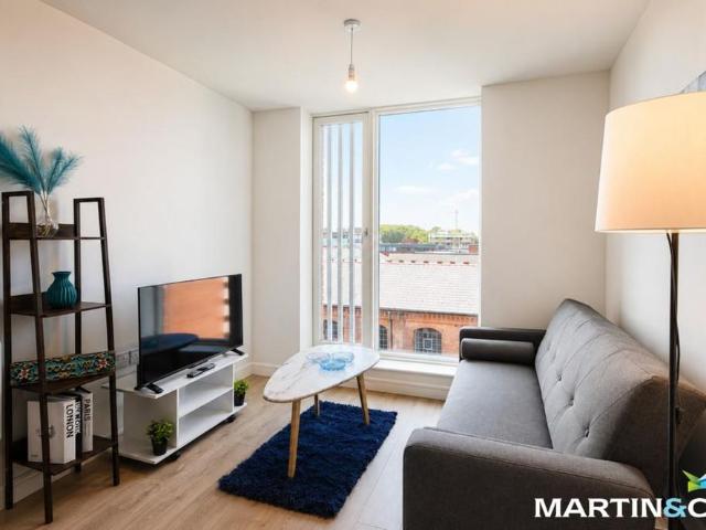 1 bedroom apartment to rent