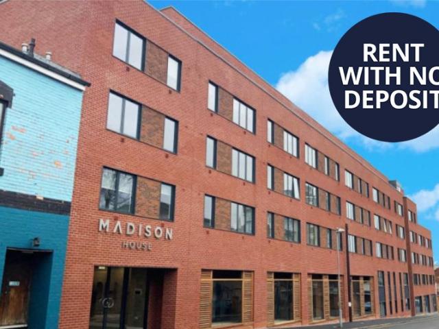1 bedroom apartment to rent
