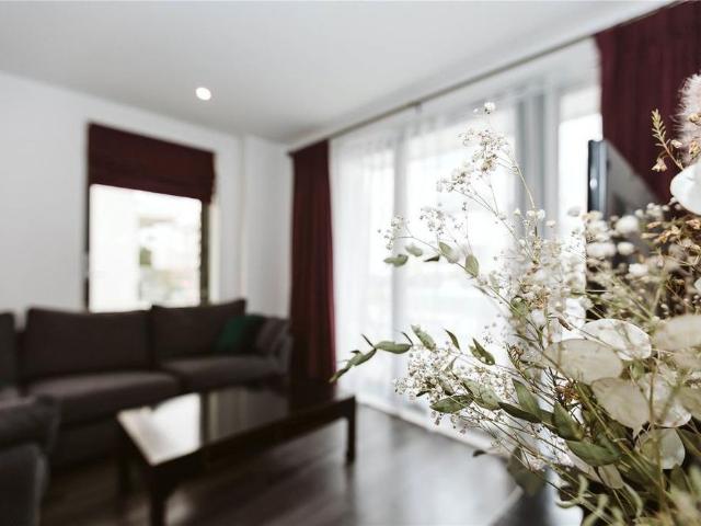 1 bedroom apartment to rent